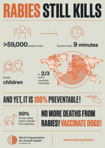 Activities for World Rabies Day in our region in 2024 - WOAH - Asia