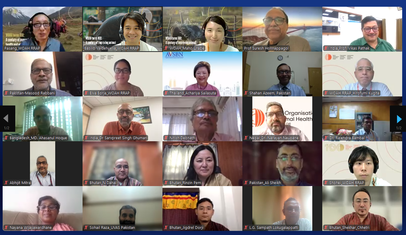 Virtual Meeting of VEE & VSB Focal points: Towards Establishing a South ... Virtual Meeting of VEE & VSB Focal points: Towards Establishing a South ...