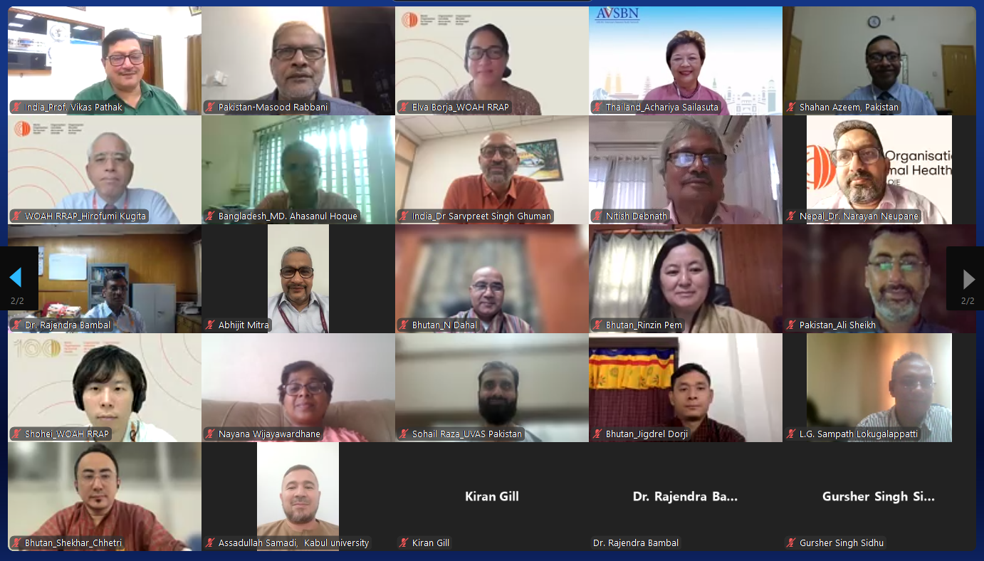 Virtual Meeting of VEE & VSB Focal points: Towards Establishing a South ... Virtual Meeting of VEE & VSB Focal points: Towards Establishing a South ...