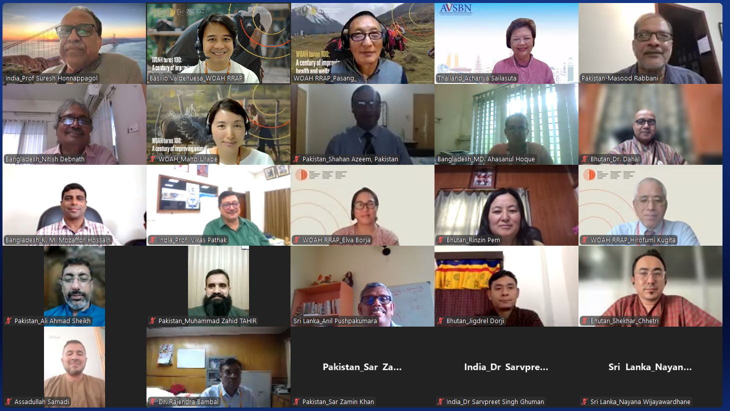 Virtual Meeting of VEE & VSB Focal points: Towards Establishing a South ... Virtual Meeting of VEE & VSB Focal points: Towards Establishing a South ...