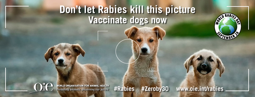 Rabies - WOAH - Asia