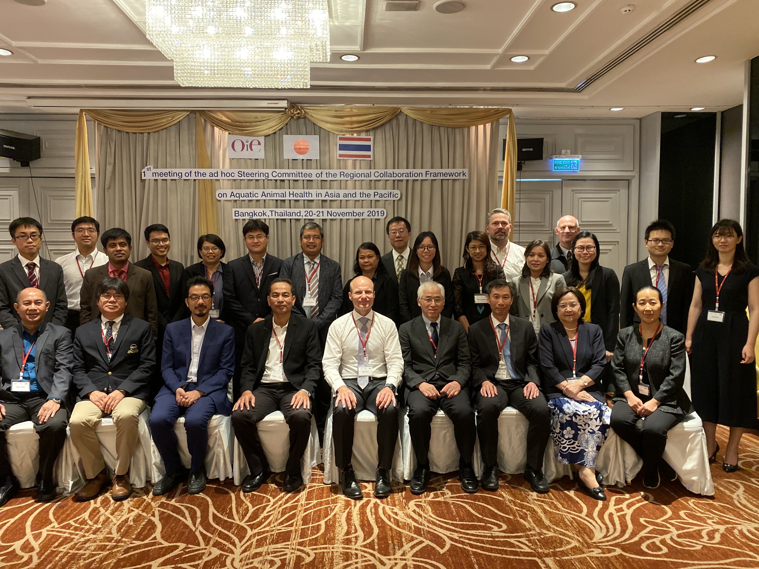 1st Meeting of the ad hoc Steering Committee of the Regional ...