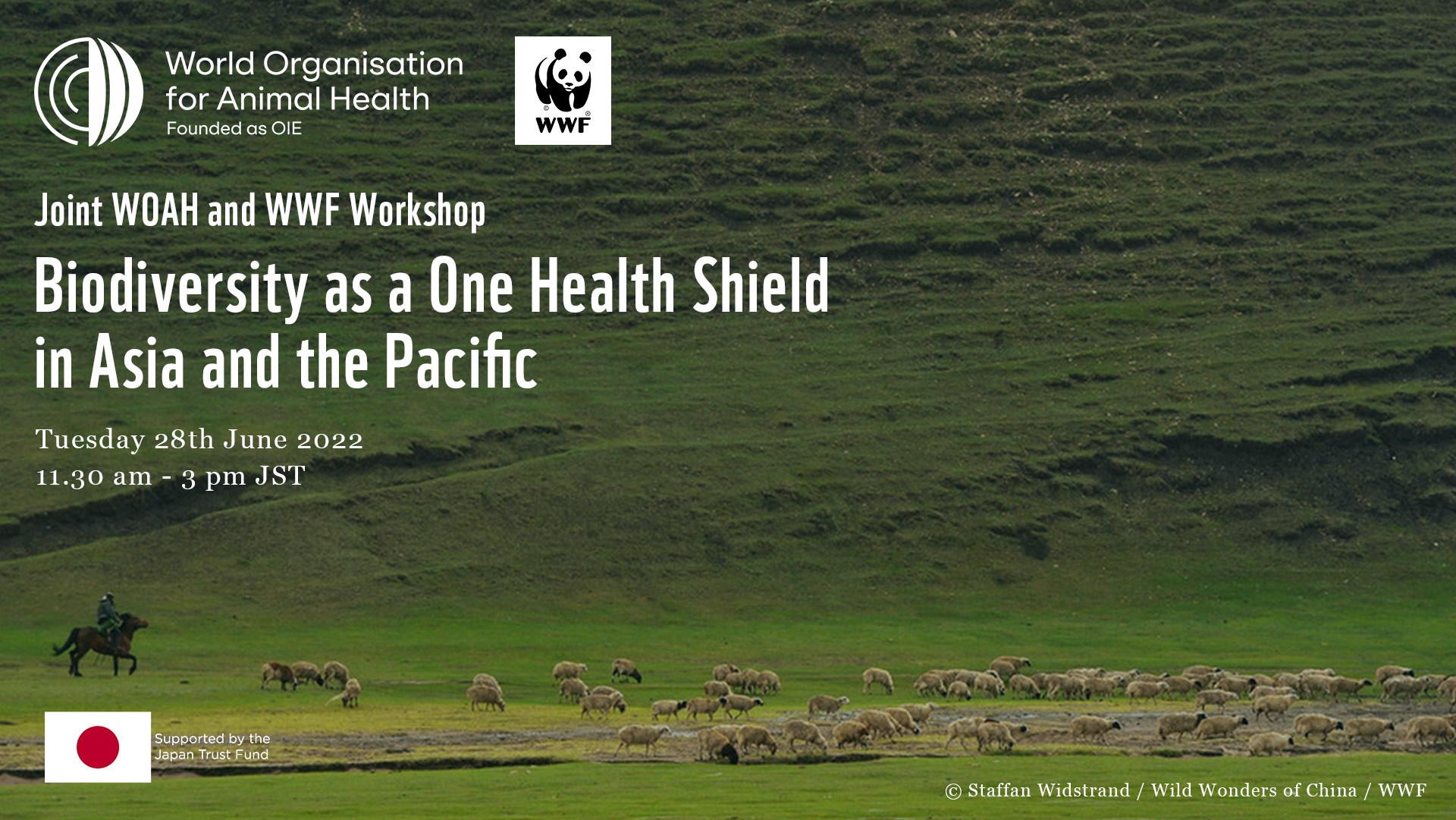 WOAH Workshop with WWF Japan: Biodiversity as a One Health Shield