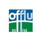 OFFLU statement on H1N1 swine influenza - WOAH - Asia