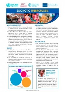 Bovine Tuberculosis - WOAH - Asia