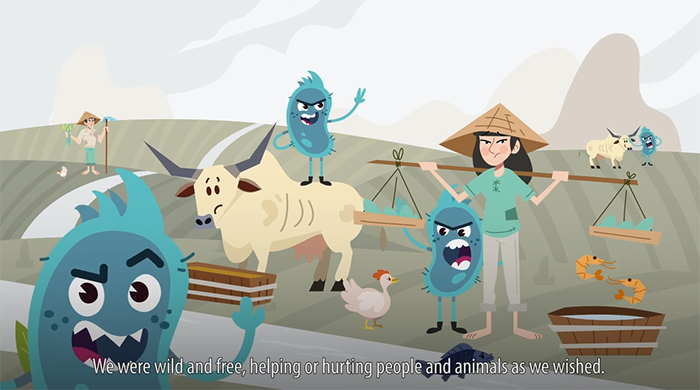 Awareness Videos to Combat AMR - WOAH - Asia