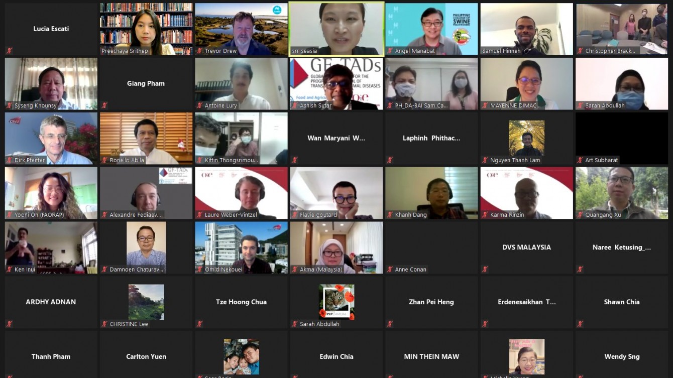 African swine fever (ASF) Virtual Coordination Meeting - WOAH - Asia