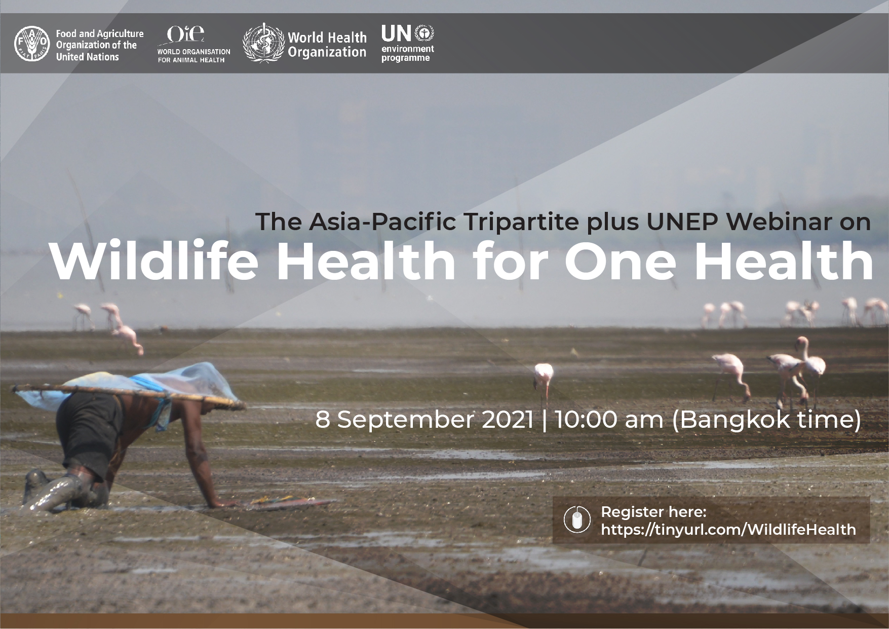 Wildlife Health for One Health - WOAH - Asia