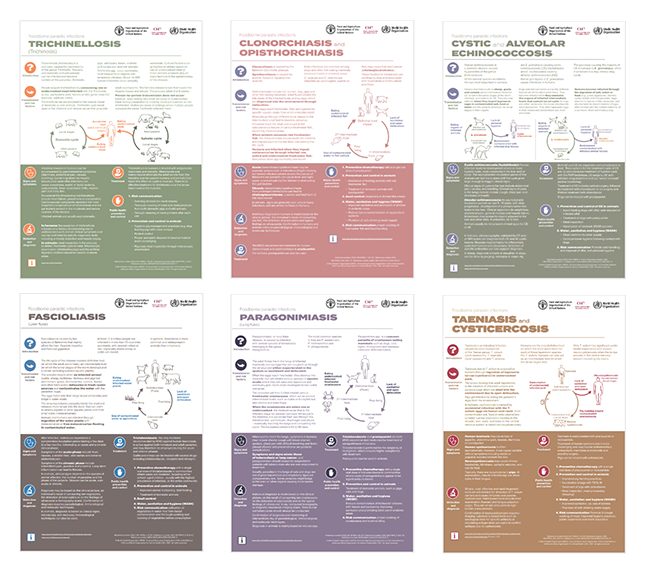 FAO, WHO, WOAH Collaboration Strengthens Capacity on Neglected ...