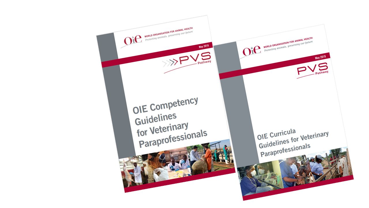 Sub-Regional Workshop: Veterinary Paraprofessional (VPP) Competencies ...