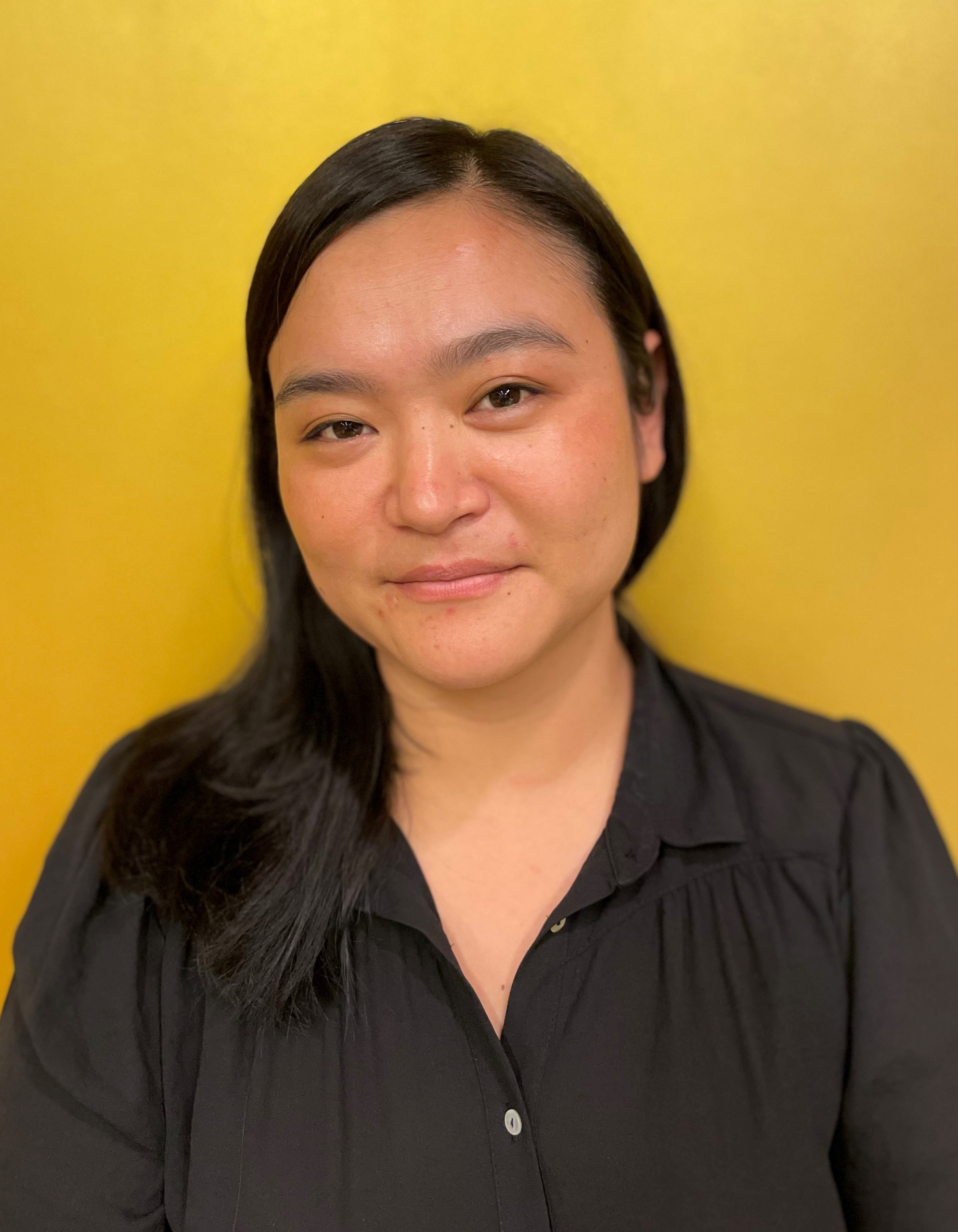 Sub-Regional Representation - WOAH - Asia