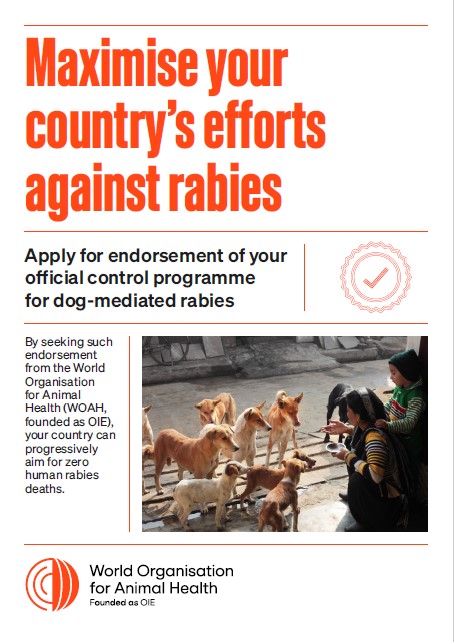 Oral Rabies Vaccination: New hope of rabies elimination in Indonesia ...