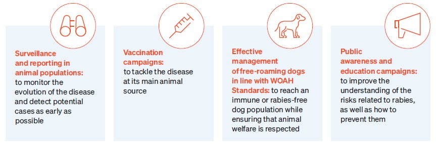 Maximize your country's efforts against rabies - WOAH - Asia