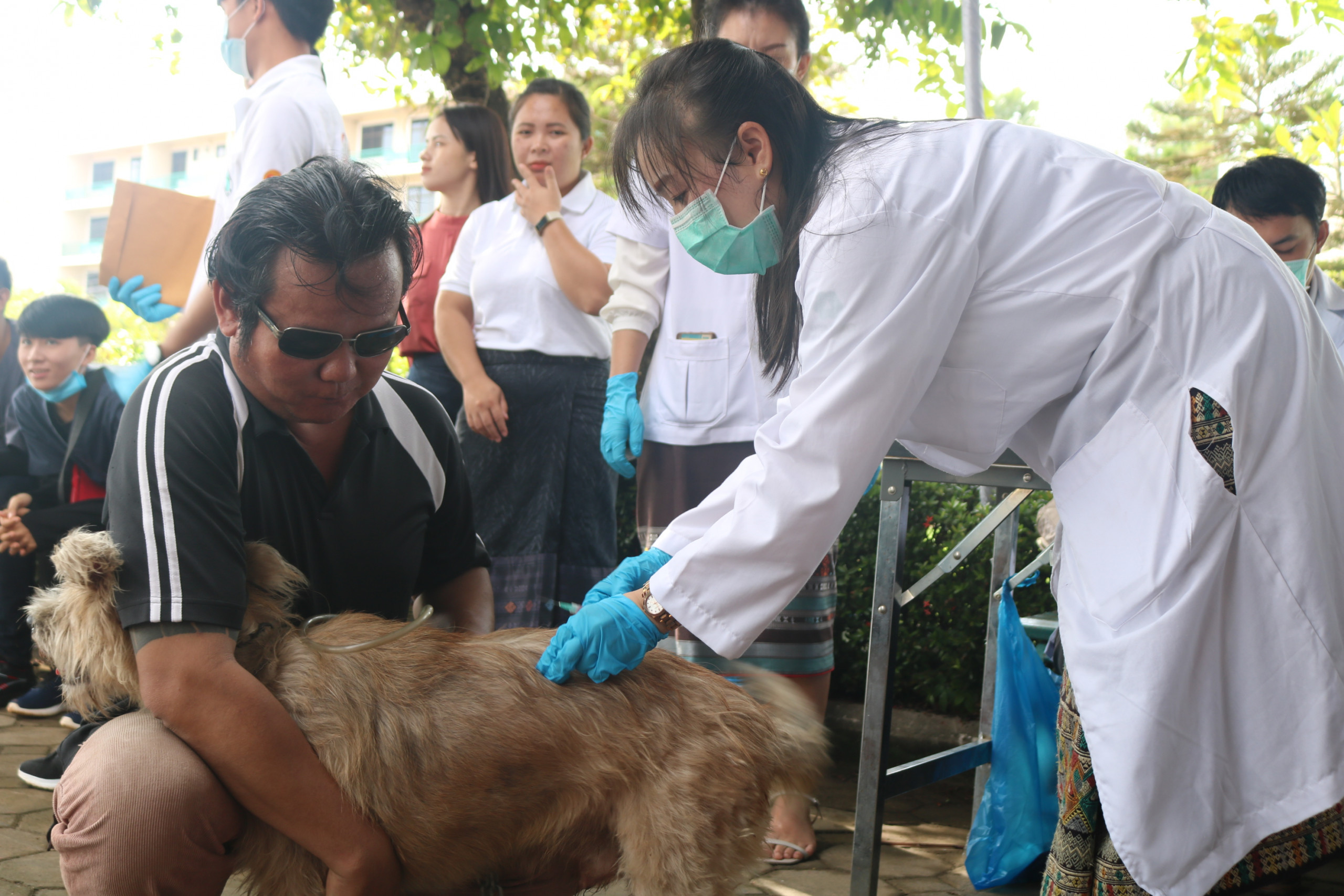 Educating school children and raising awareness about rabies in Lao PDR ...