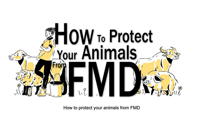 New Awareness Communication Materials on Foot and Mouth Disease - WOAH ...