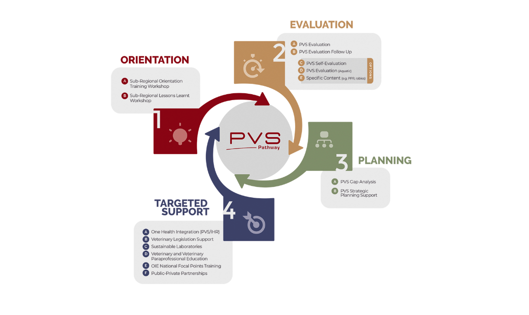 Pacific Info Session: Benefits of PVS Evaluation Approaches - WOAH - Asia