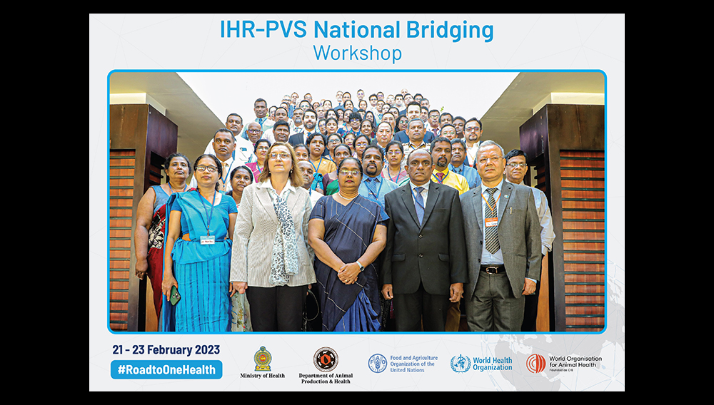 National Bridging Workshop in Sri Lanka: Intersectoral coordination ...