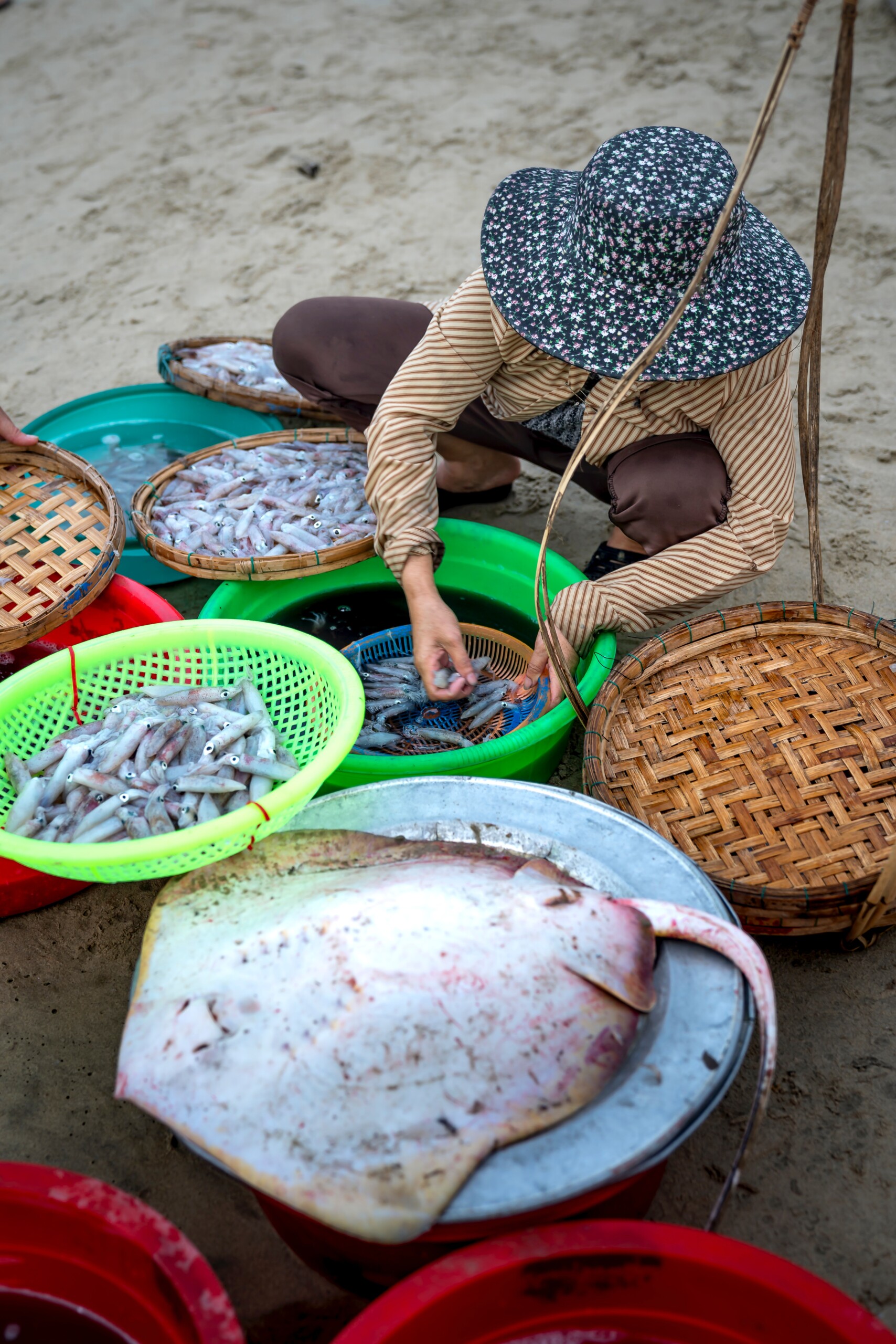 Report: Aquaculture biosecurity for small-scale farms in the region ...