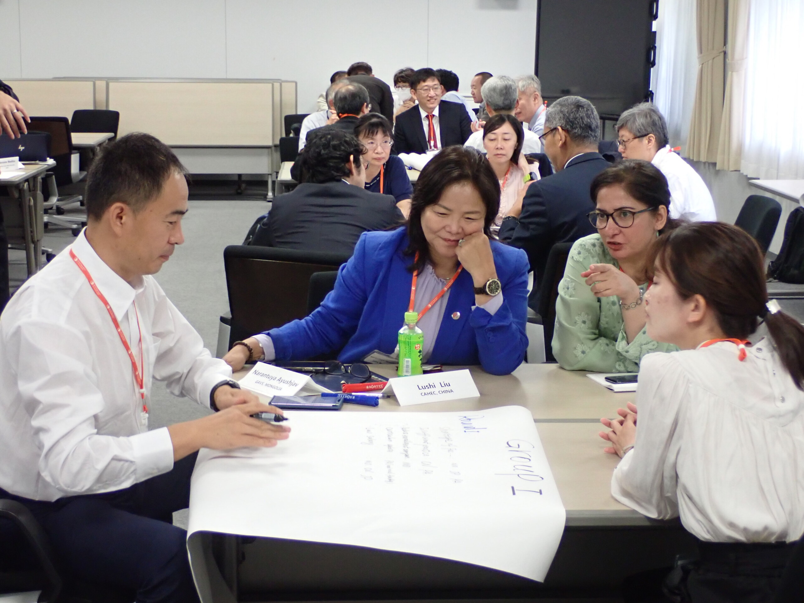 East Asia sub-regional meeting on veterinary education and workforce ...