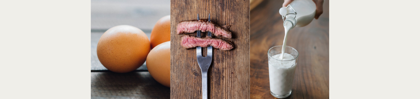 Understanding allergy of livestock products - WOAH - Asia