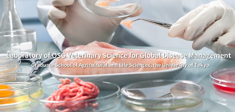Symposium: Data collection system on veterinary medicine at the farm ...