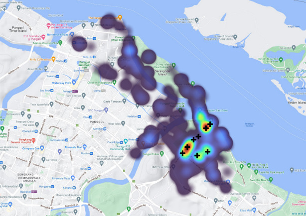 Insights into Singapore’s Free-Roaming Dog Behaviour: Exploring ...