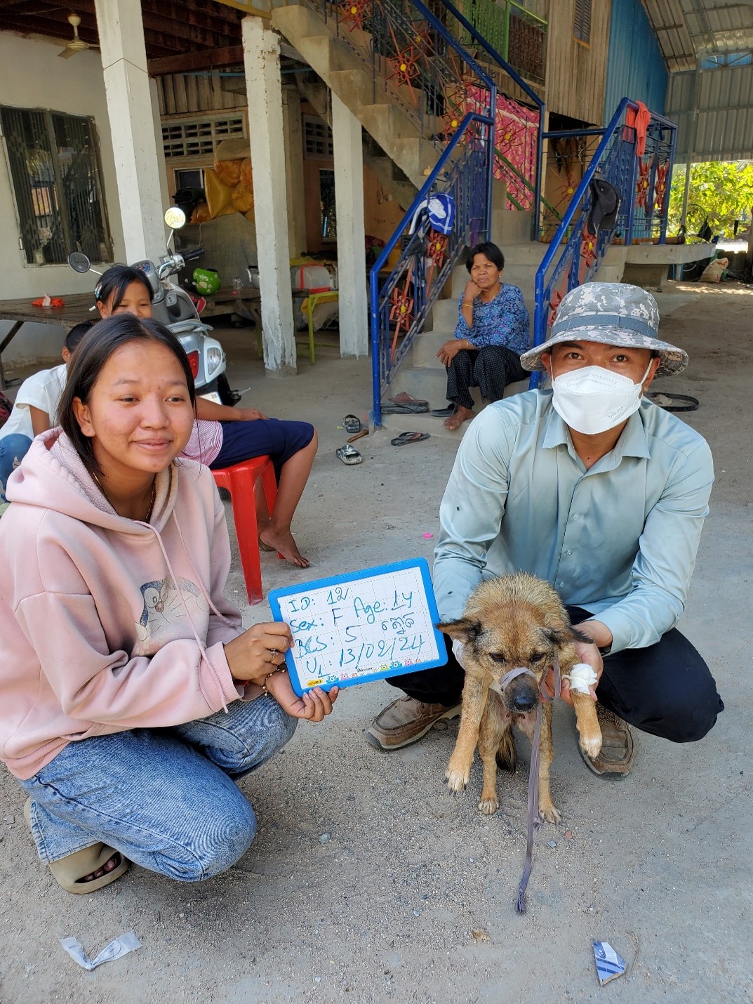 Piloting Oral Rabies Vaccination in Cambodia - WOAH - Asia