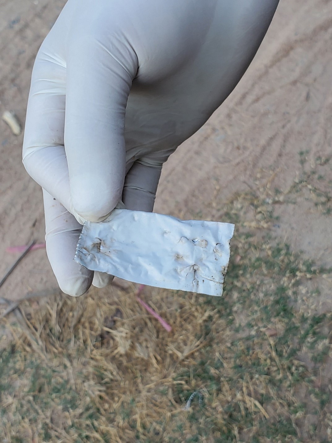 Piloting Oral Rabies Vaccination in Cambodia - WOAH - Asia