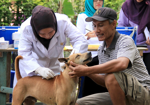 International Women's Day 2024: Imagining a gender equal future - WOAH ...